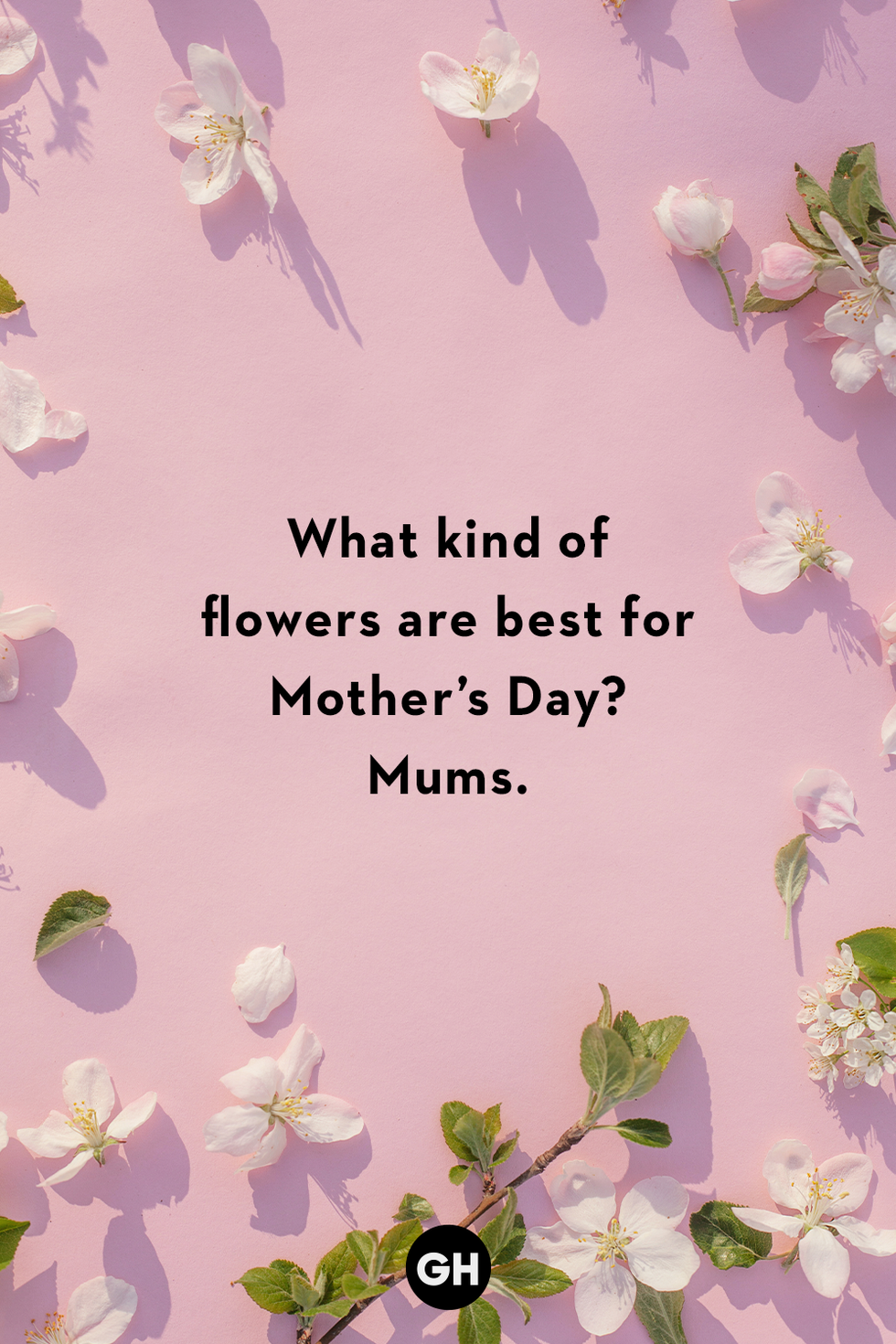 54 Best Mothers Day Jokes And Funny One Liners