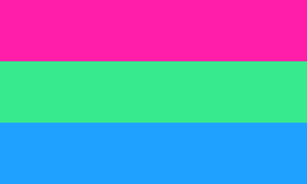 21 Lgbtq Flags All Lgbtq Flags Meanings And Terms