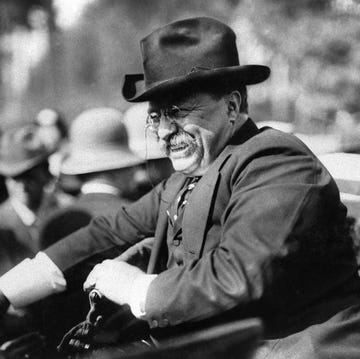 President Theodore Roosevelt Seated in Automobile president theodore roosevelt seated in automobile