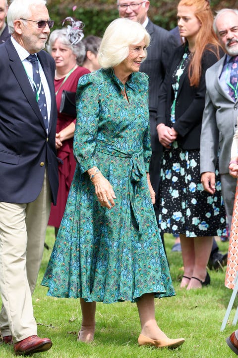 Queen Camilla Wears Peacock Patterned Dress
