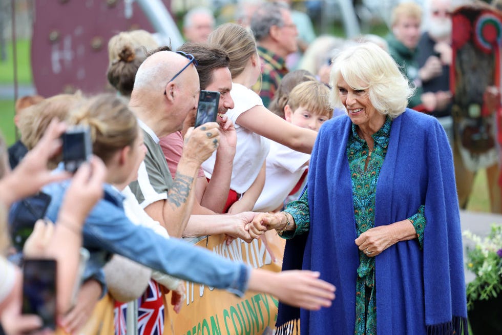 Queen Camilla Wears Peacock Patterned Dress