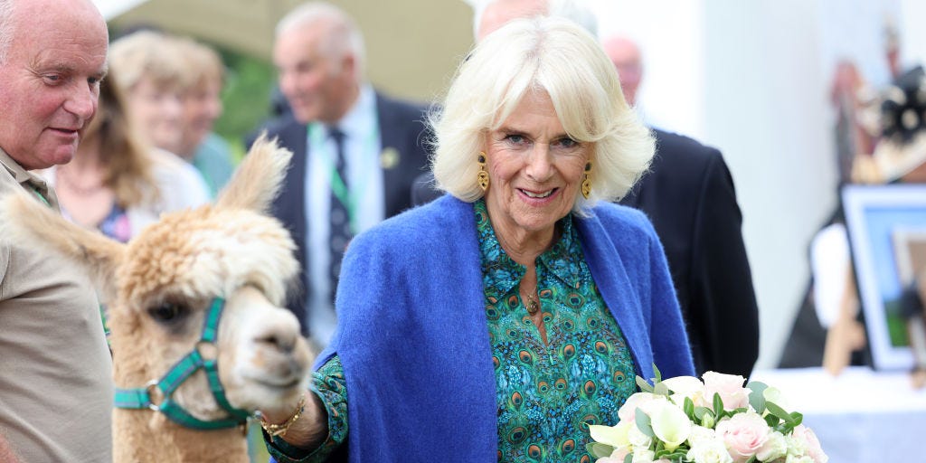 Queen Camilla Wears Peacock Patterned Dress