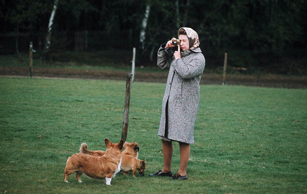 What Happens to Queen Elizabeth s Dogs Queen s Corgi Names