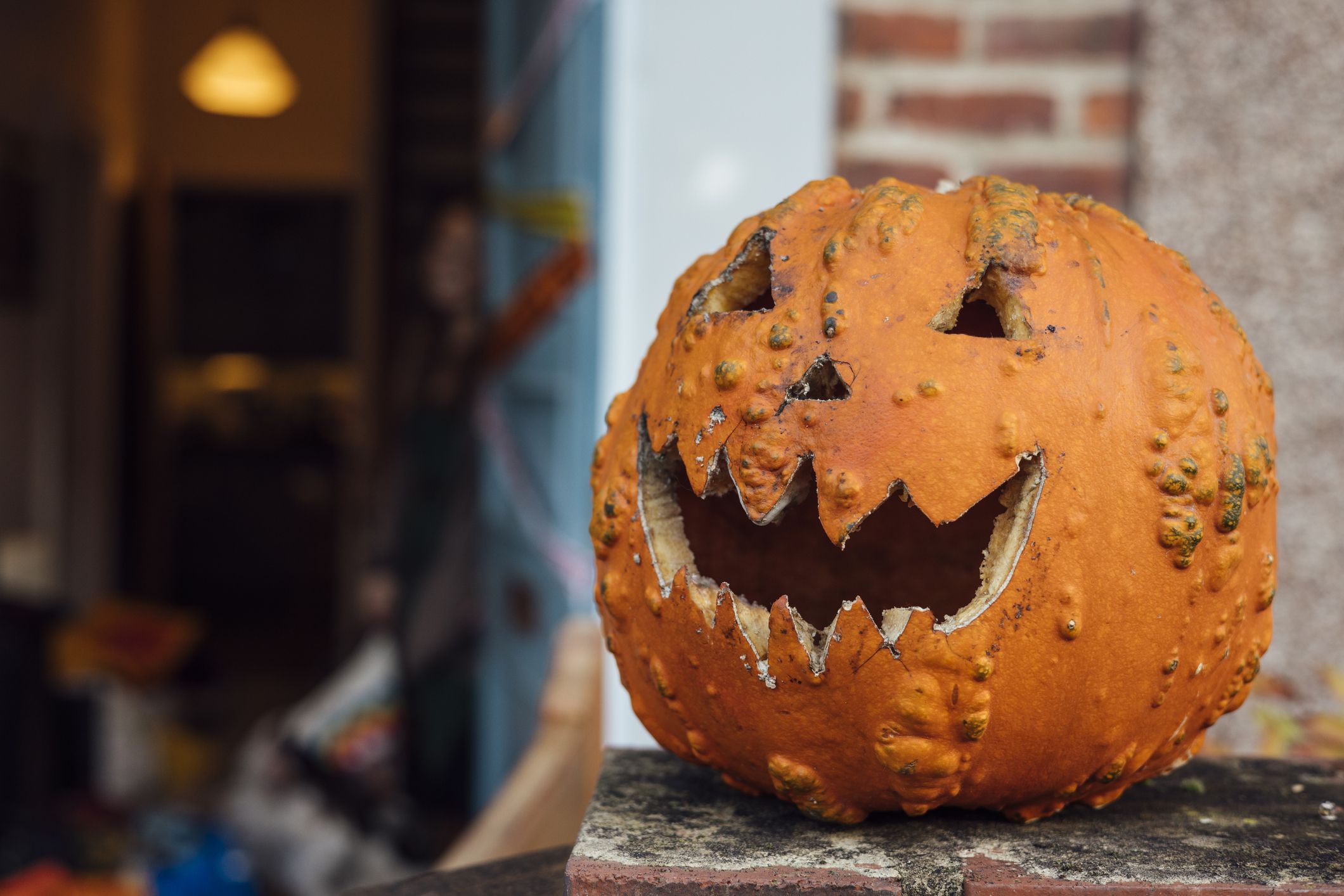 48 Creative Pumpkin Carving Ideas and Designs for Halloween 2024