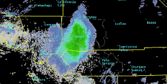 Huge “Ladybug Bloom” In California Shows Up on Weather Radar Huge “Ladybug Bloom” In California Shows Up on Weather Radar