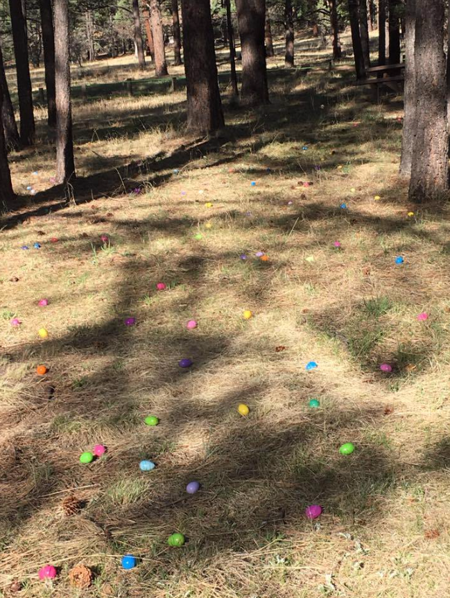 12 Easter Egg Hunts Near You To Visit In 2022 Easter Egg Hunt Near Me