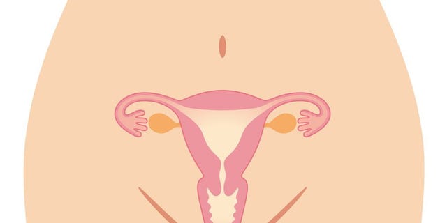 7 Things You Should Know About Twisted Ovaries Prevention