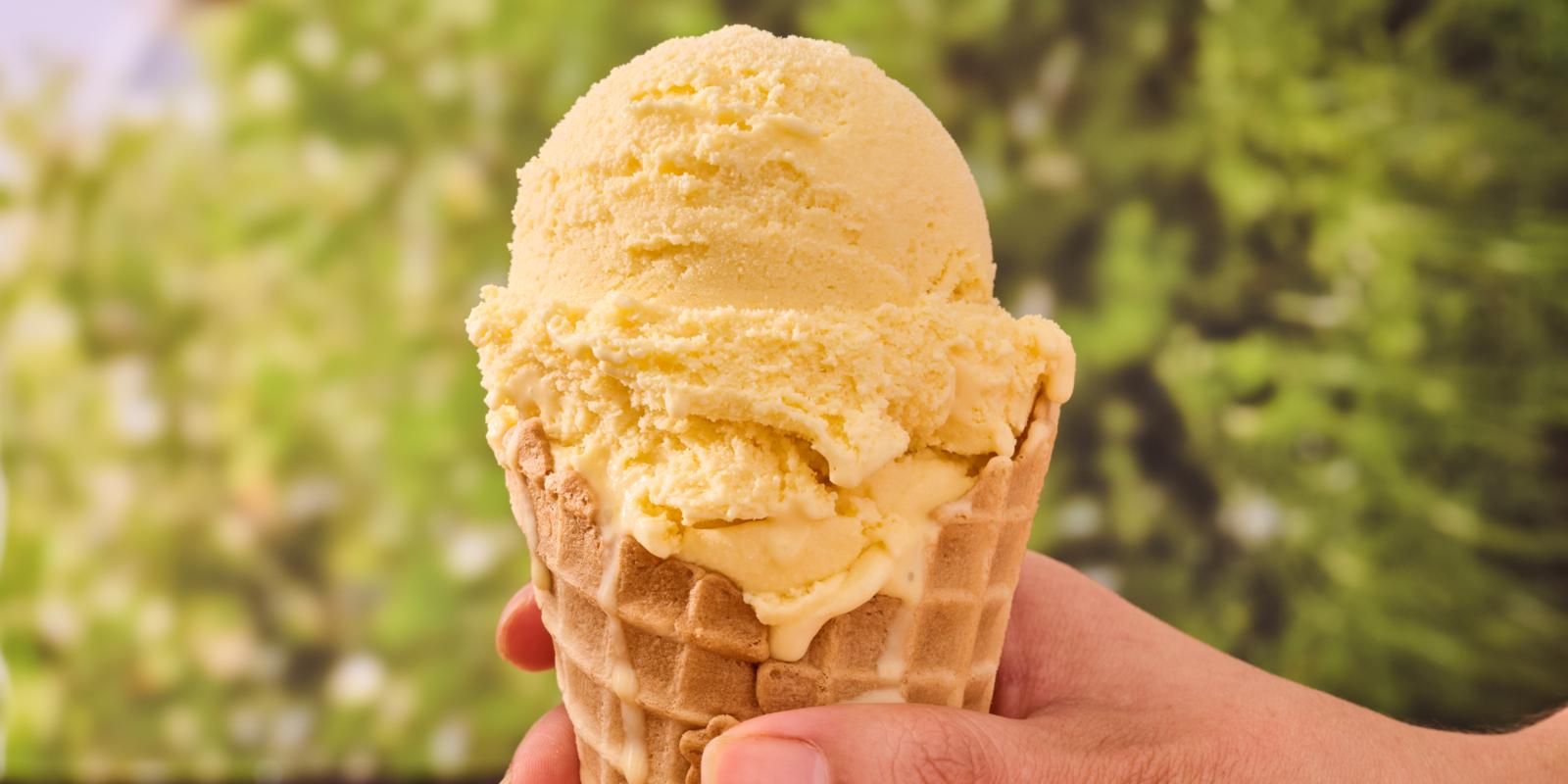 Sweet Corn Ice Cream