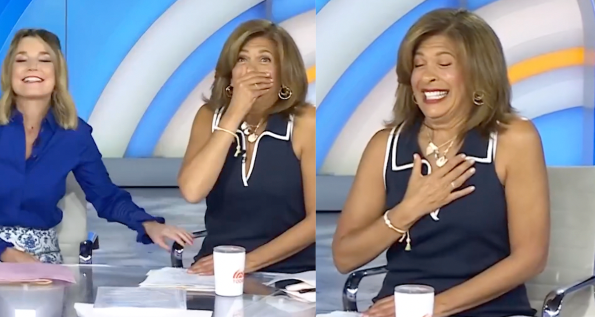 Today Fans Cant Get Over What Hoda Kotb Said About The Notebook