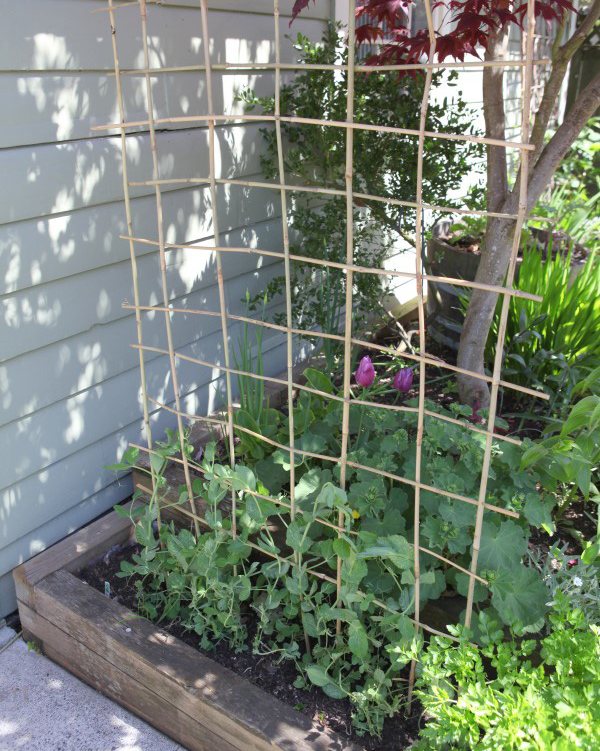15 Best Trellis Ideas For A Climbing Garden