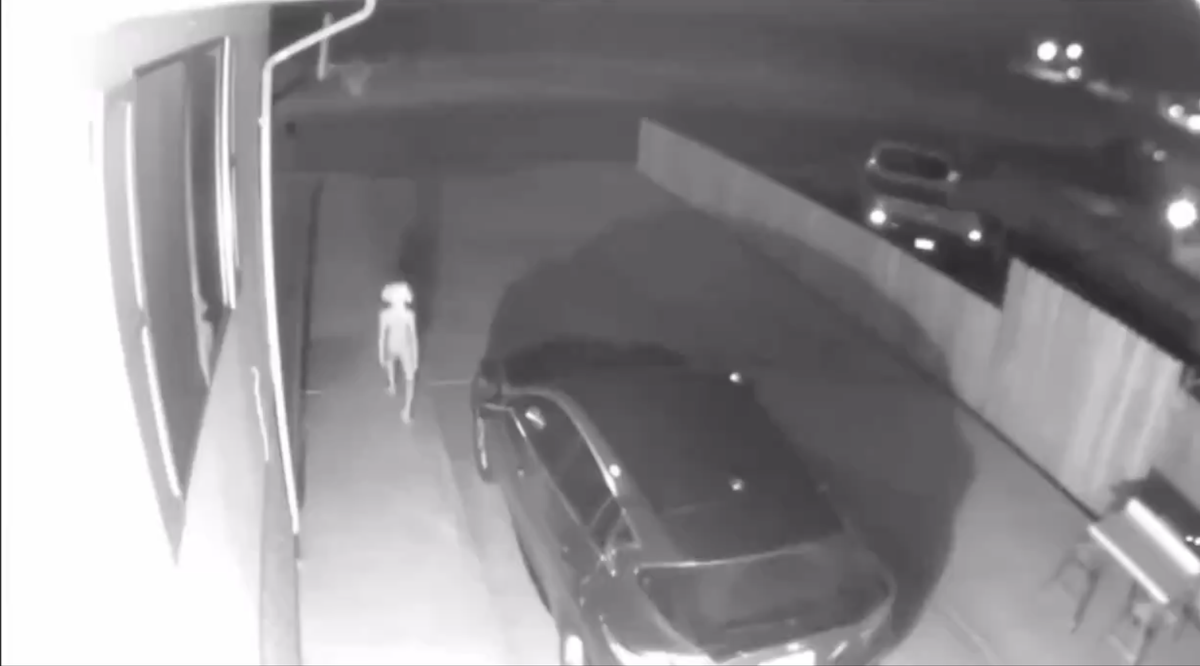 Home Security Camera Shows Alien Lurking In Driveway And The Internet