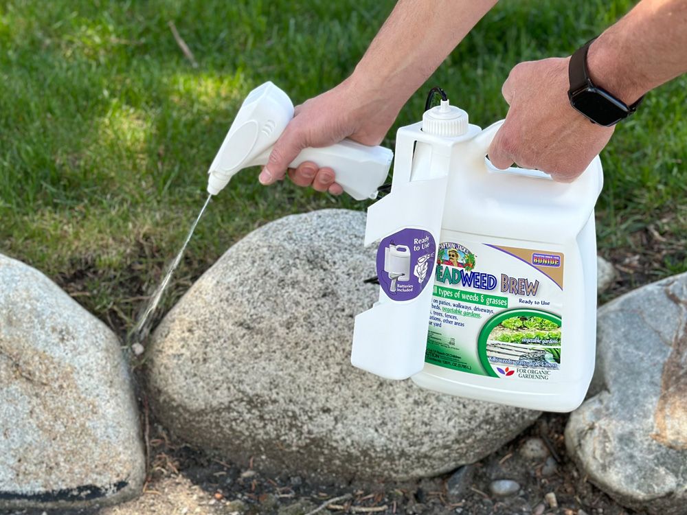 The 11 Best Weed Killers in 2024 Weed Killer Reviews