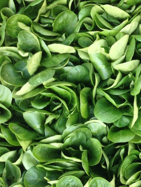 7 Foods That Balance Your Sex Hormones How To Balance Hormones With Food