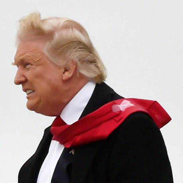 Donald Trump Ties Donald Trump Tie Length