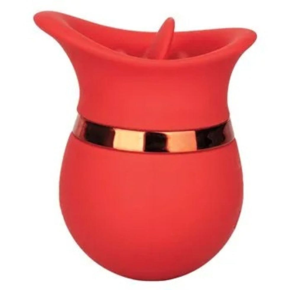 The 21 Best Oral Sex Toys In 2023 According To Experts