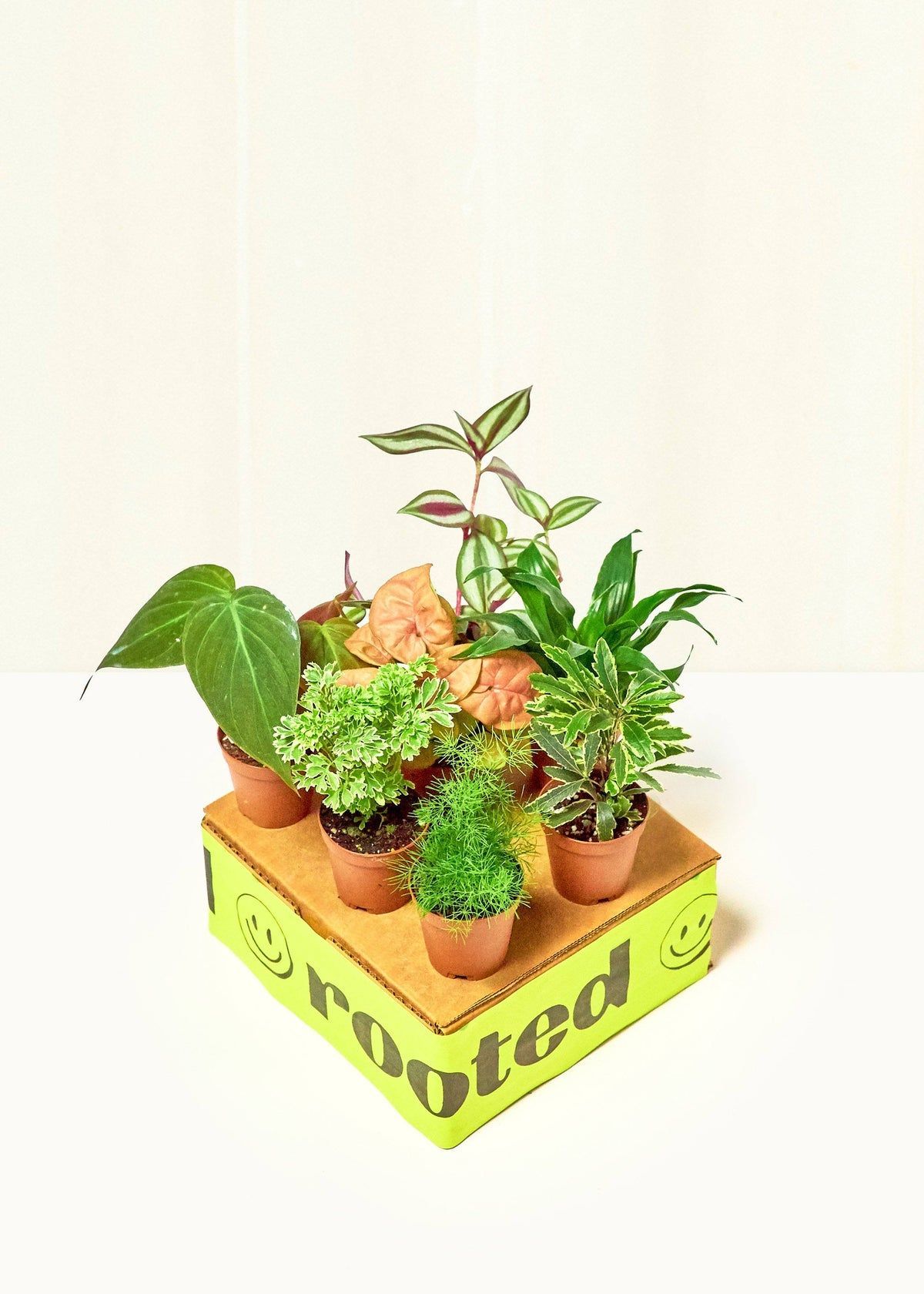 47 Best Gift Ideas for Plant Lovers of 2023