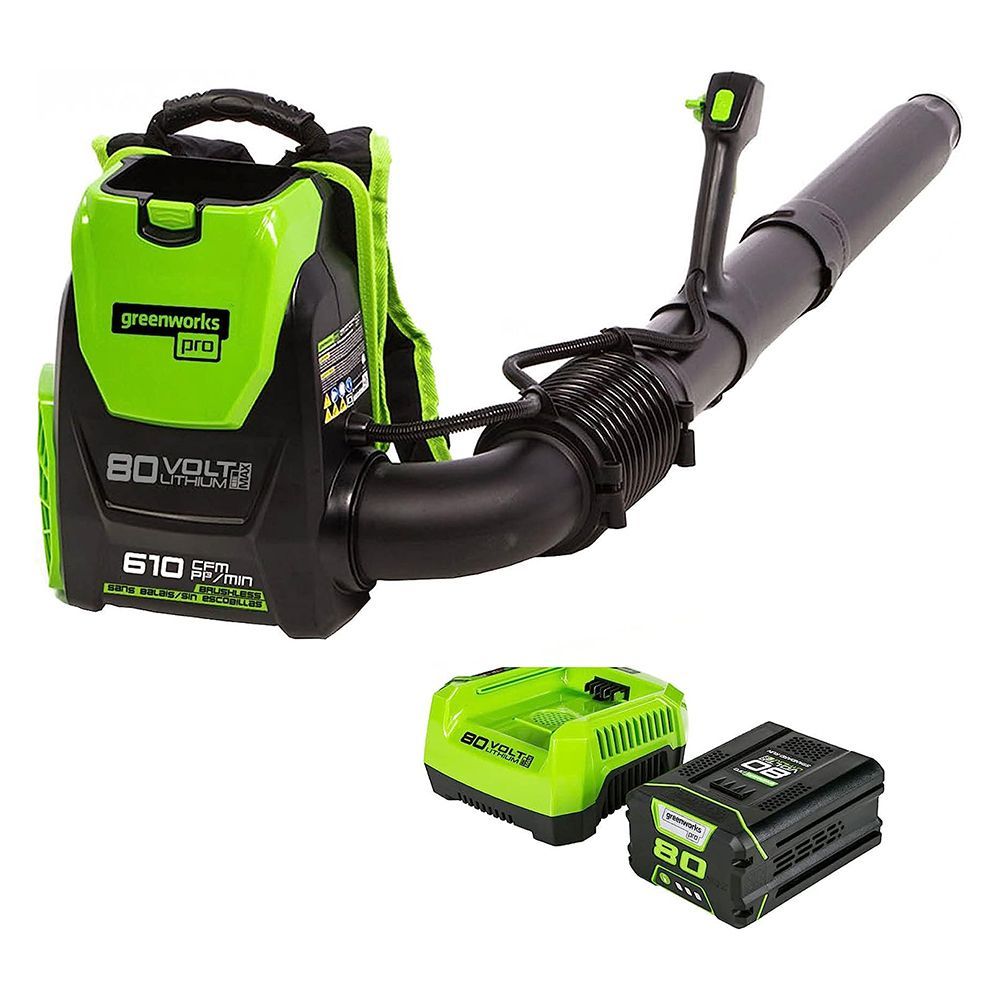 Best leaf blower 2020 cordless store