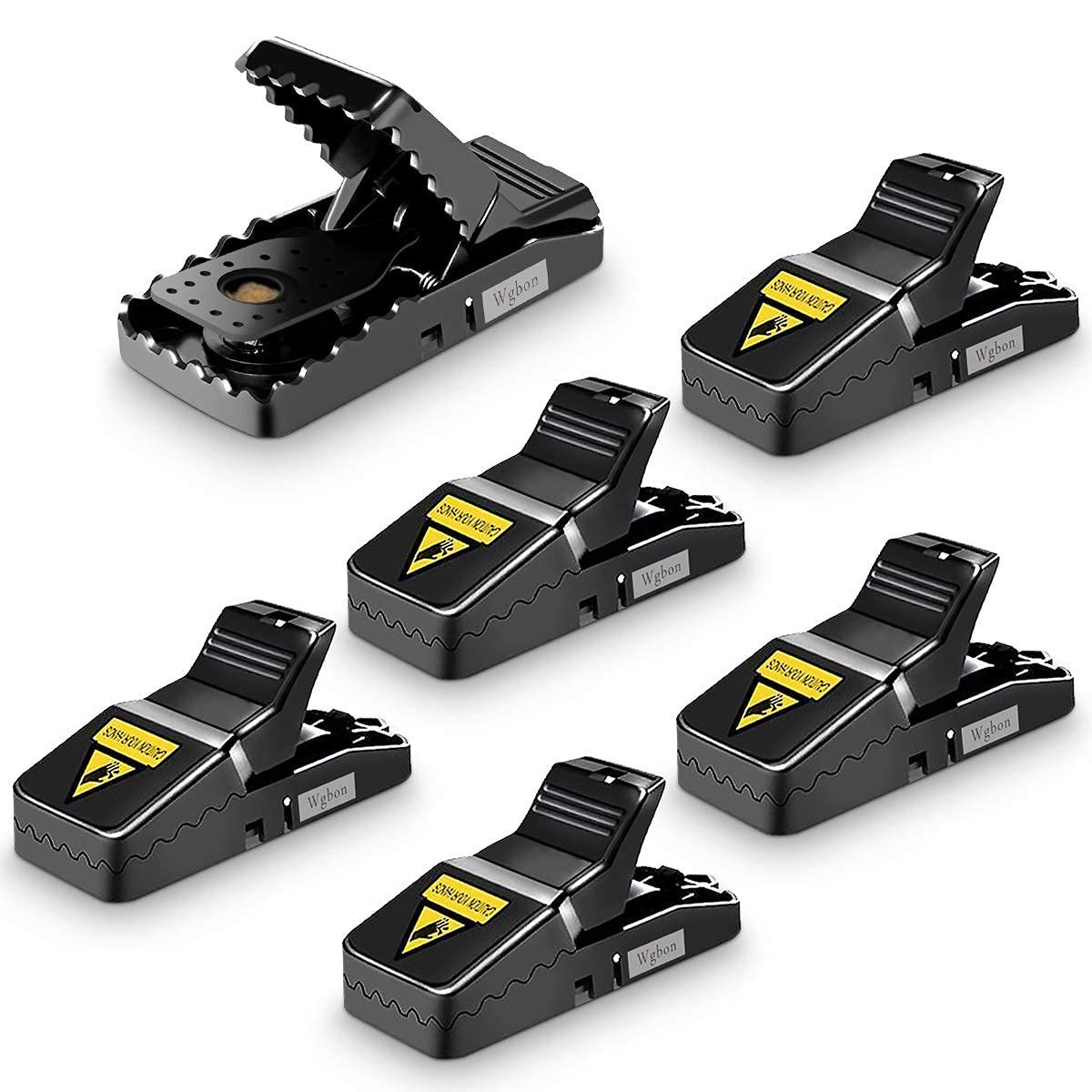 Best Mouse Traps of 2024