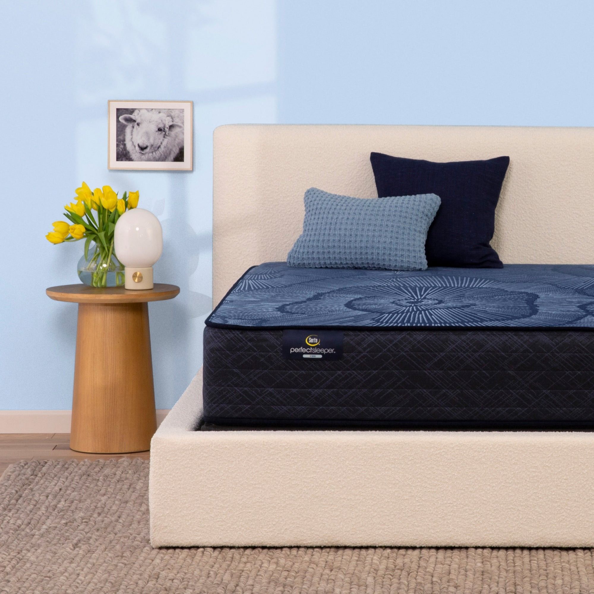 Best serta pillow top mattress store