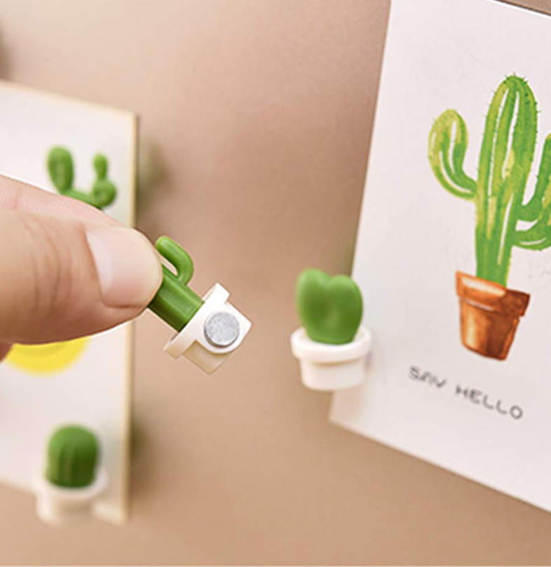 Gifts for plant lovers store